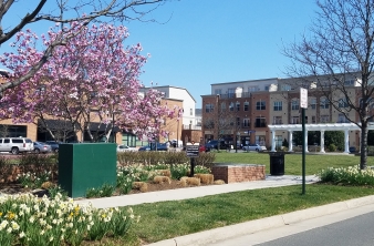 Lansdowne Town Center Homes For Sale